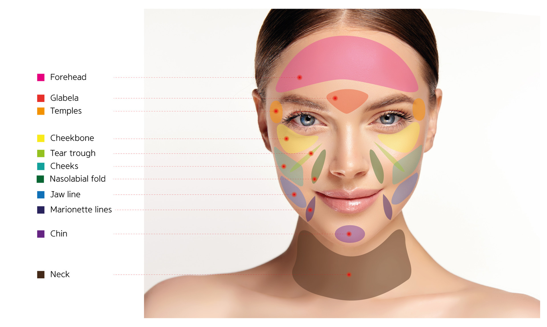 AestheFill Malaysia - AestheFill PDLLA collagen stimulating skin filler